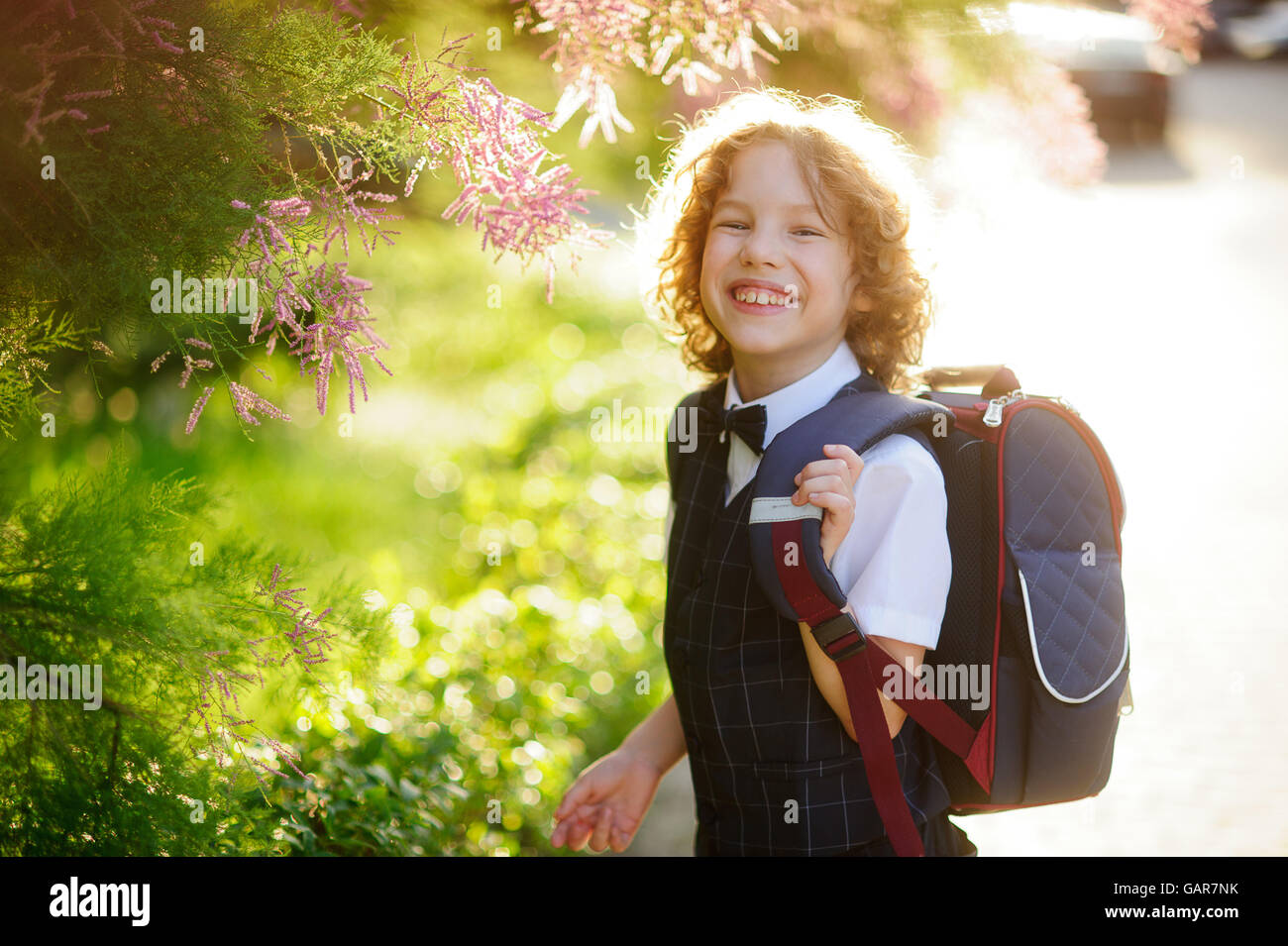 The first grader standing about beautifully blossoming bush. Sunny day ...