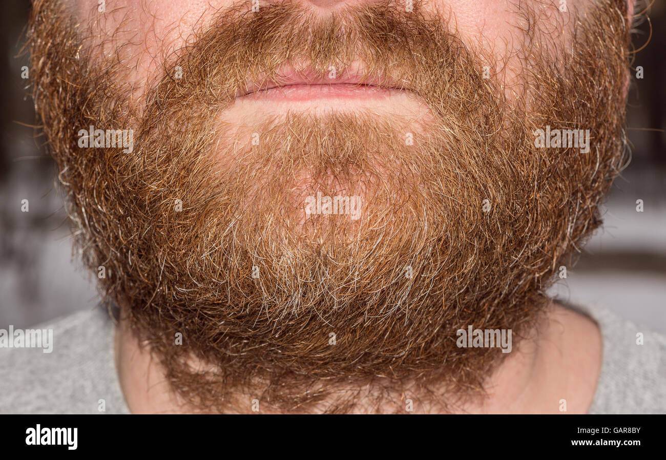 Closeup image of the red beard and mustache man Stock Photo - Alamy