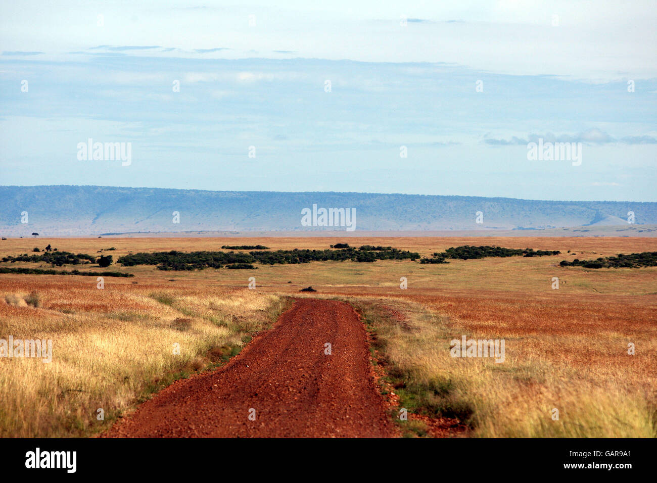 Kenya Stock. Generic picture of the Mara desert in Kenya Stock Photo ...