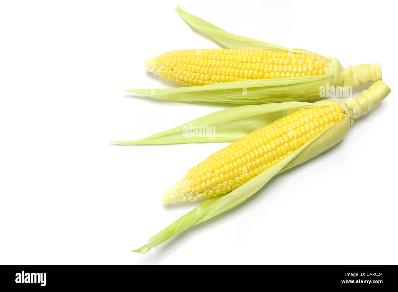 Japanese fresh corn in white Stock Photo - Alamy
