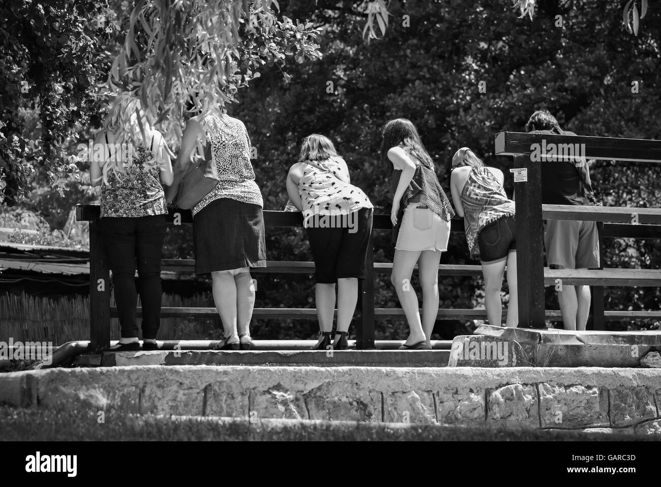 People tourists rear view Black and White Stock Photos & Images - Alamy