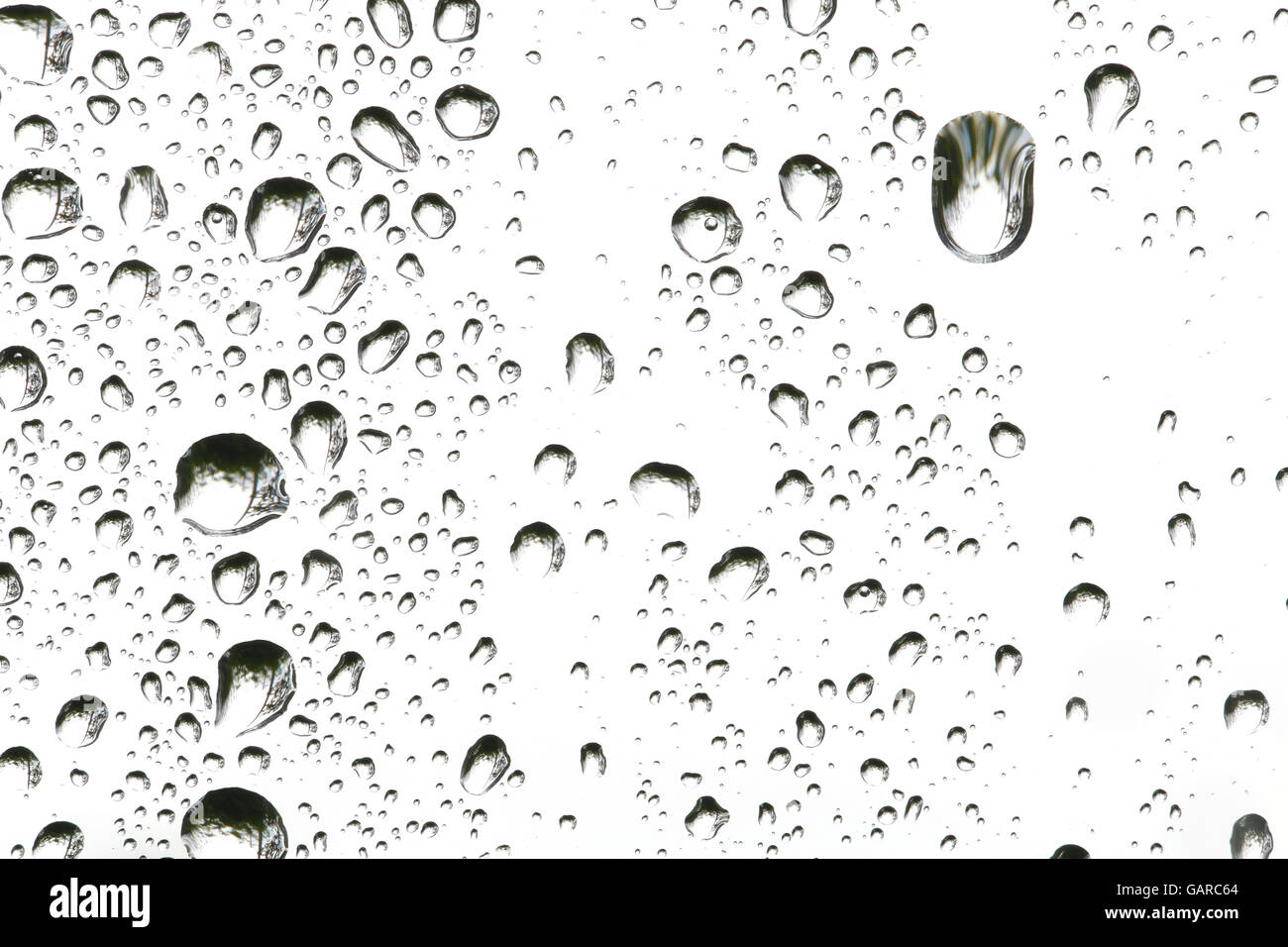 rain drop texture on white background Stock Photo - Alamy