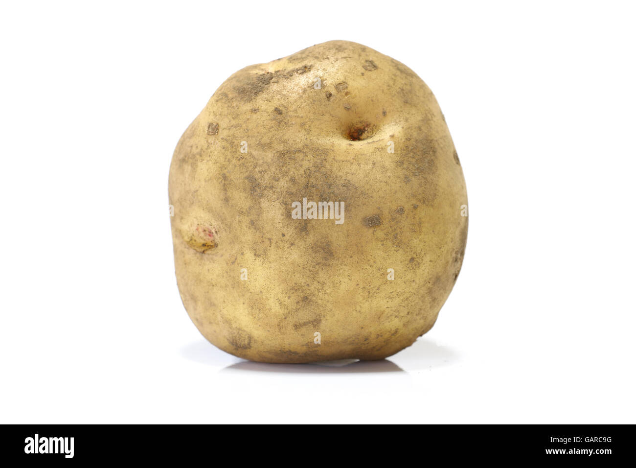 Japanese fresh potato with soil Stock Photo - Alamy