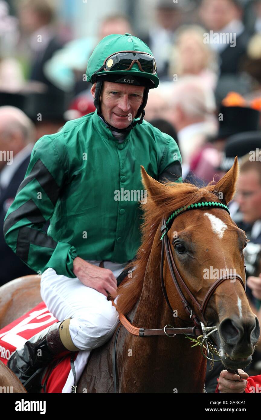 New approach horse hi-res stock photography and images - Alamy