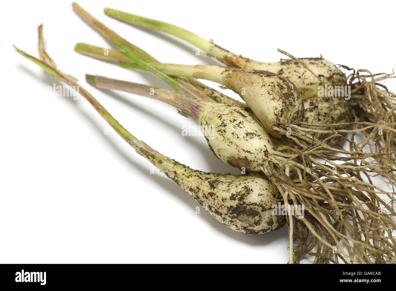 Japanese fresh hi-res stock photography and images - Alamy