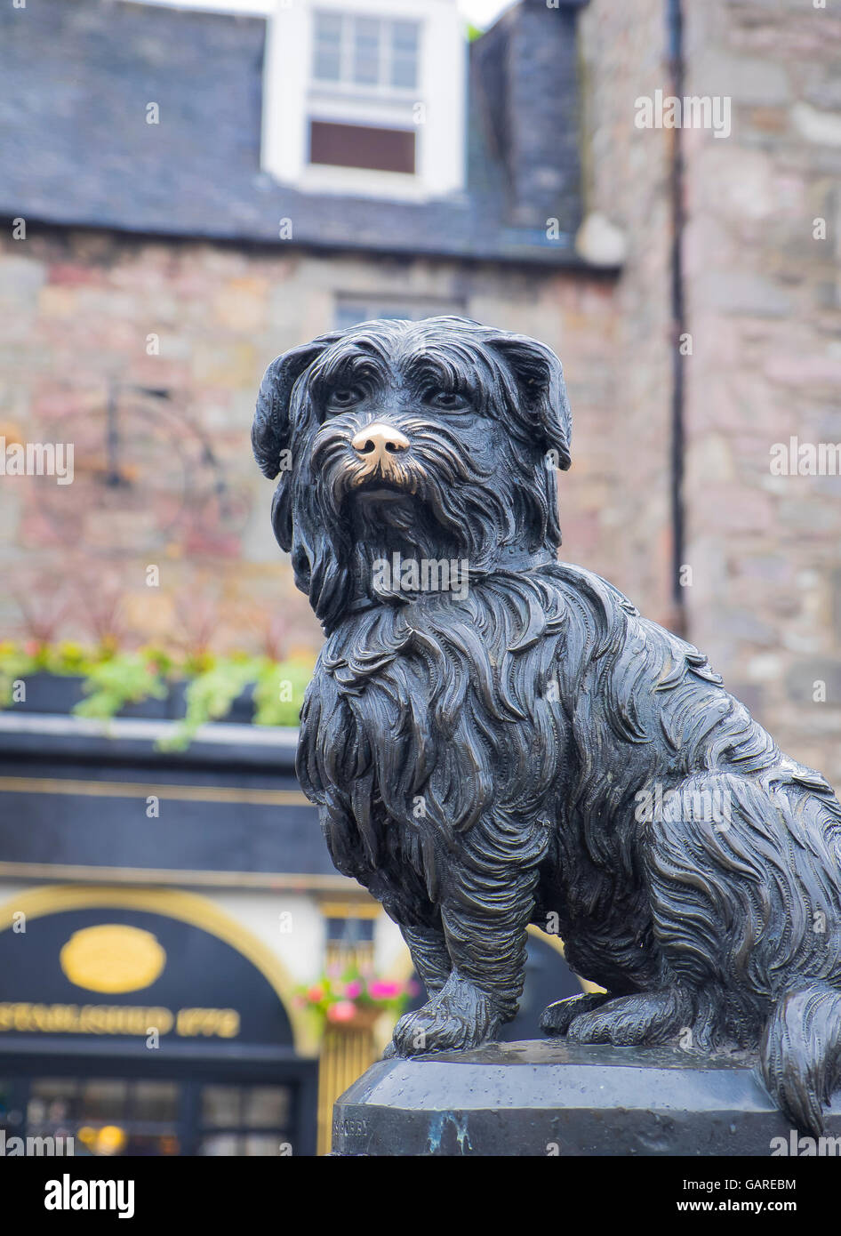 Greyfriars Bobby was a Skye Terrier who became known in 19th-century ...