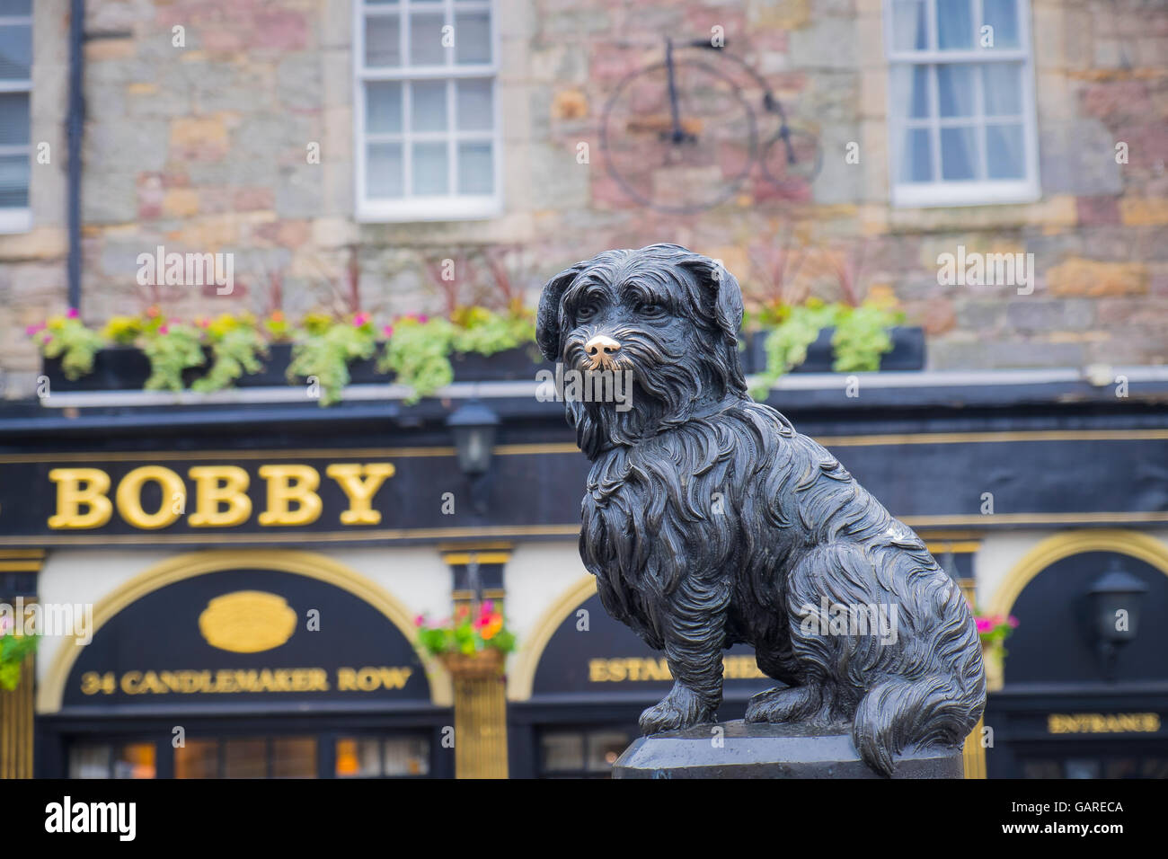 Greyfriars Bobby at the pub in beautiful city of Edinburgh in Scotland ...