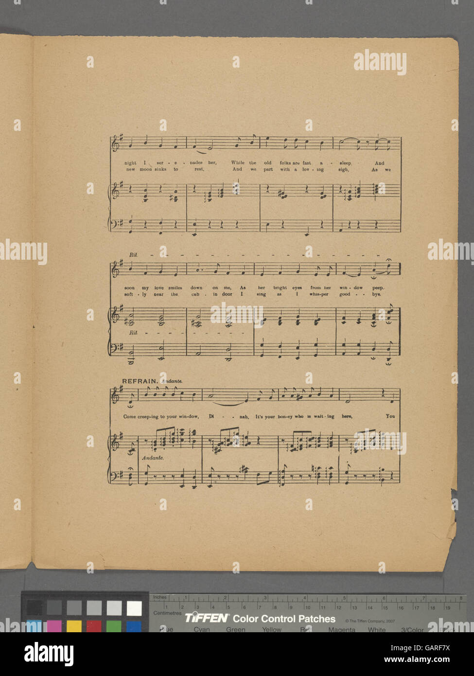 'My Dusky Queen, Good Night' is a romantic song likely focused on ...