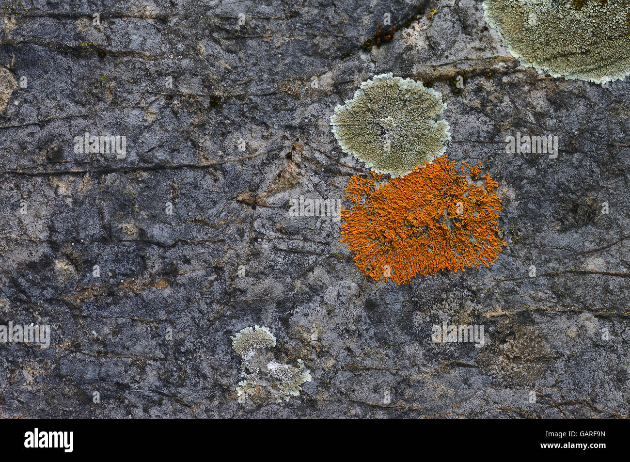 Abstract stone texture background Stock Photo - Alamy