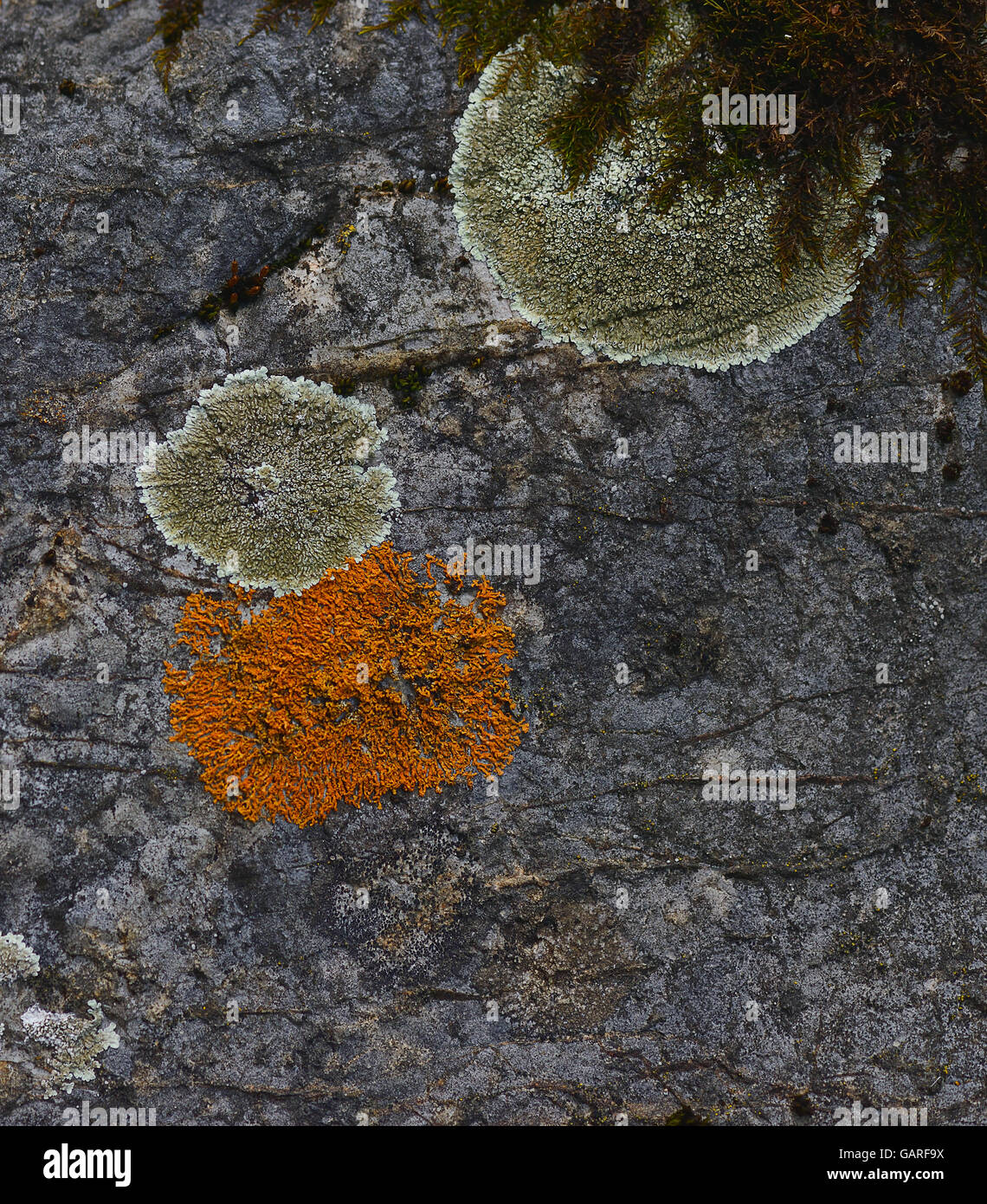 Abstract stone texture background Stock Photo - Alamy