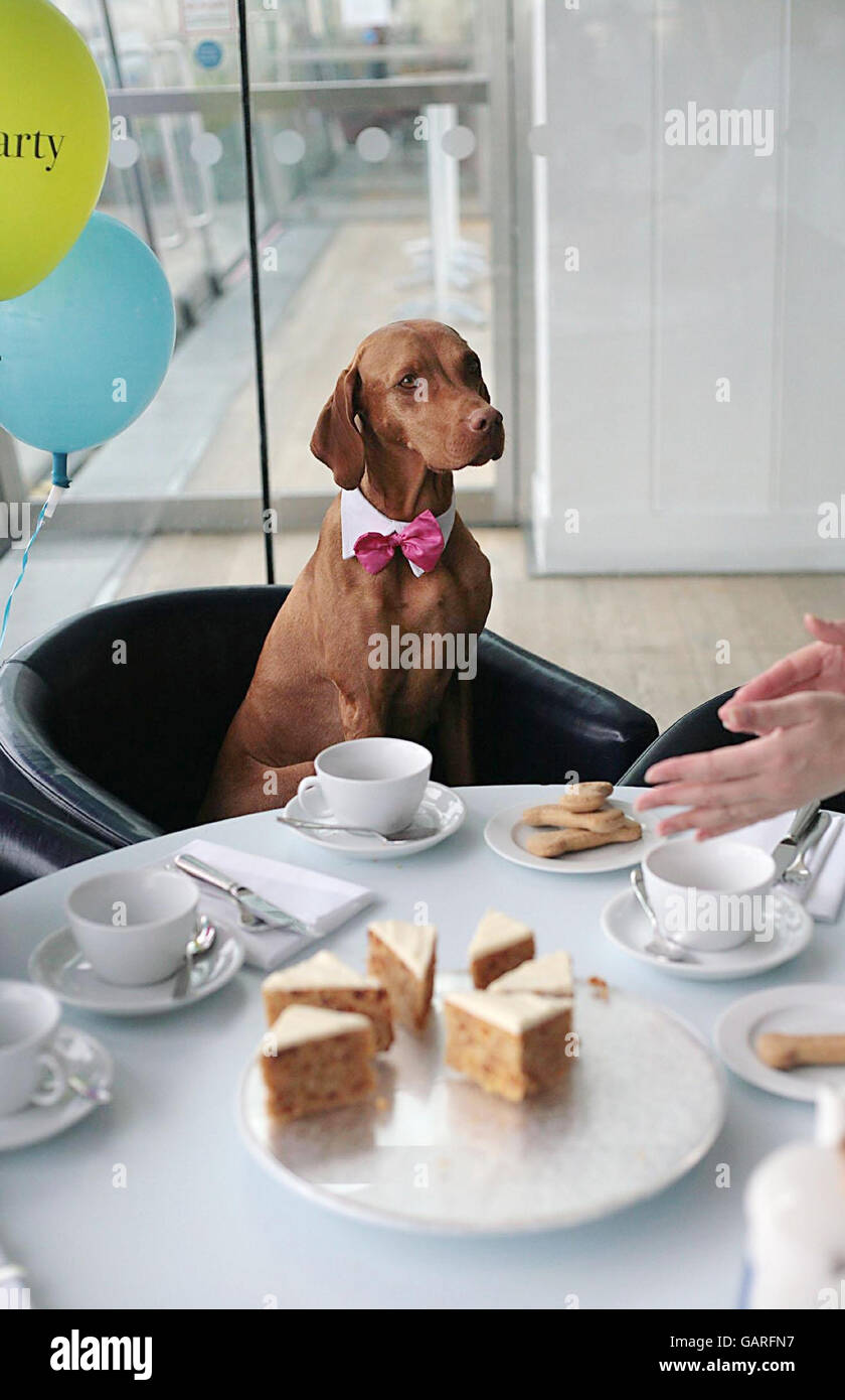 Wiszla hi-res stock photography and images - Alamy