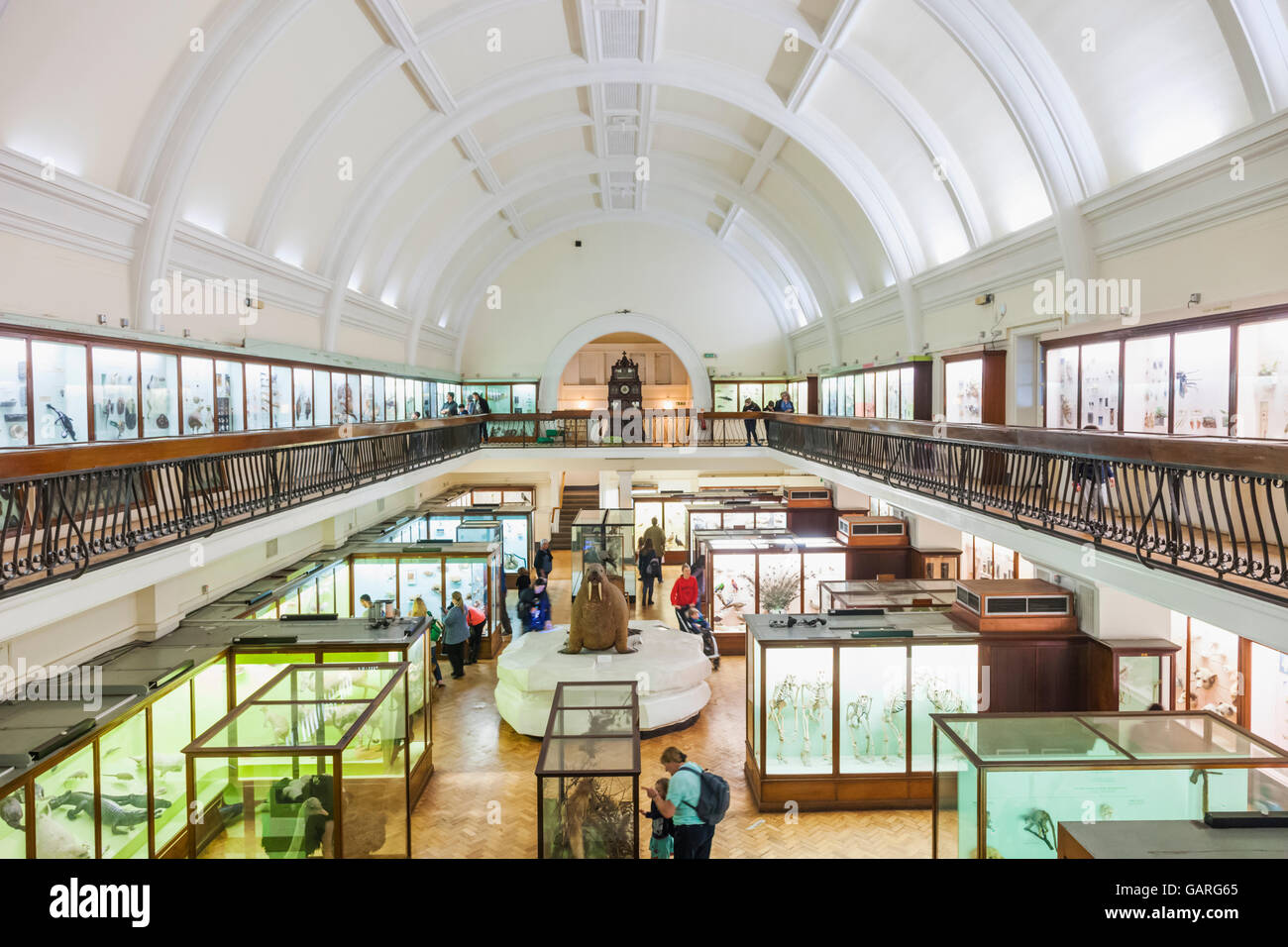 Horniman Museum High Resolution Stock Photography and Images - Alamy