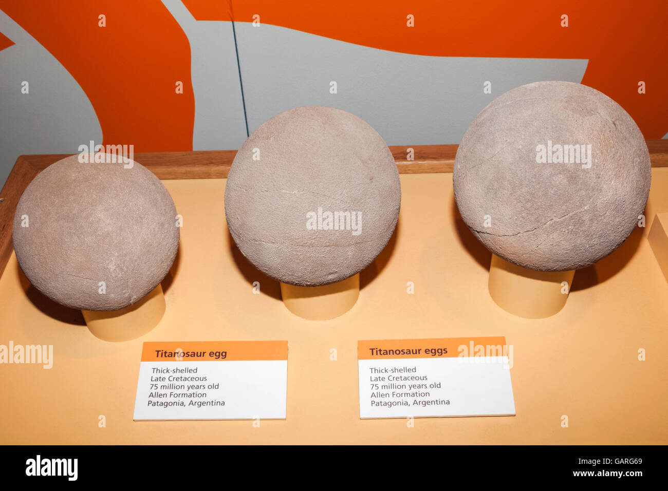 England, London, Forest Hill, Horniman Museum, Display of 75 million ...