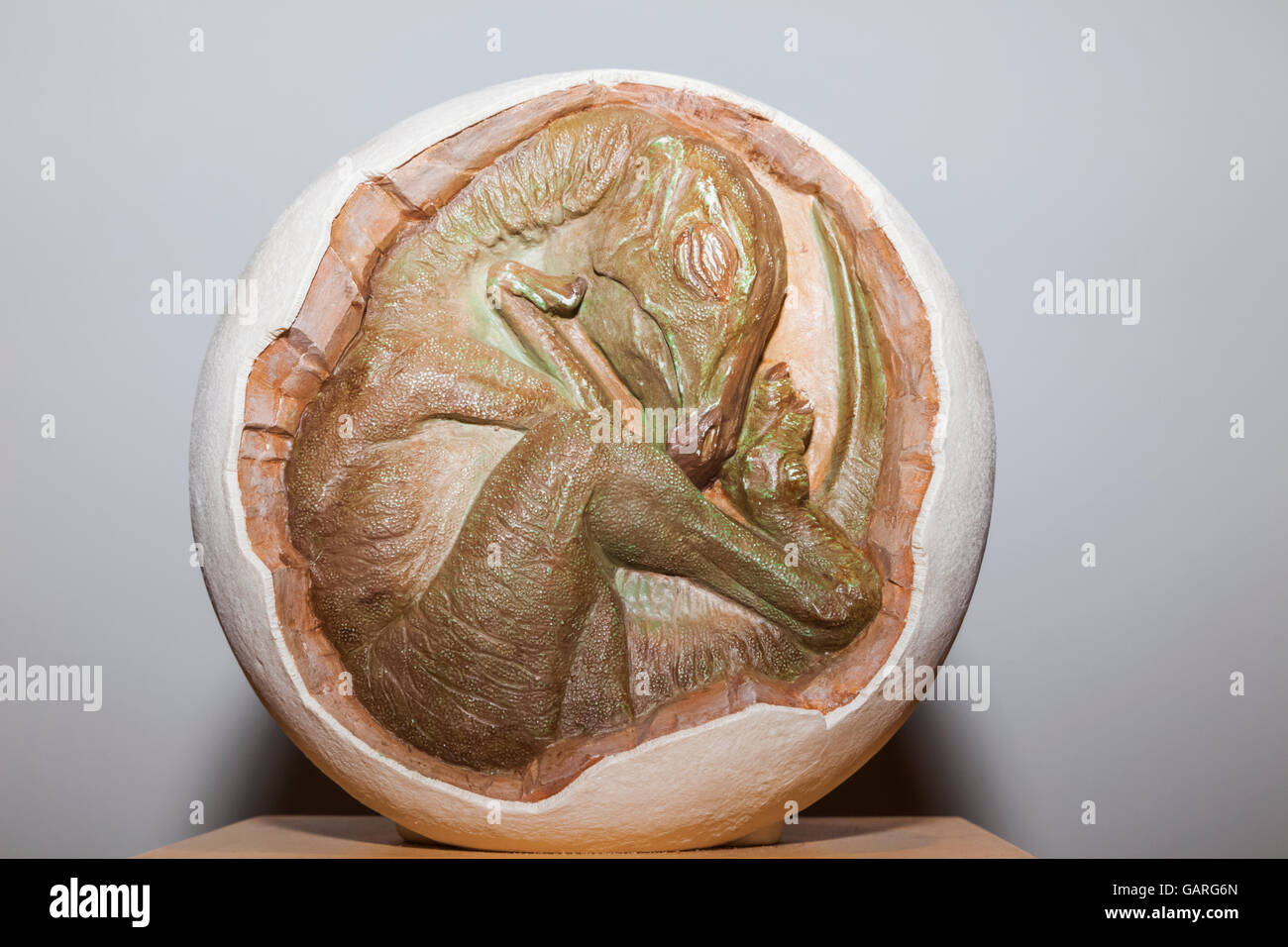 England, London, Forest Hill, Horniman Museum, Display of Hadrosaur ...