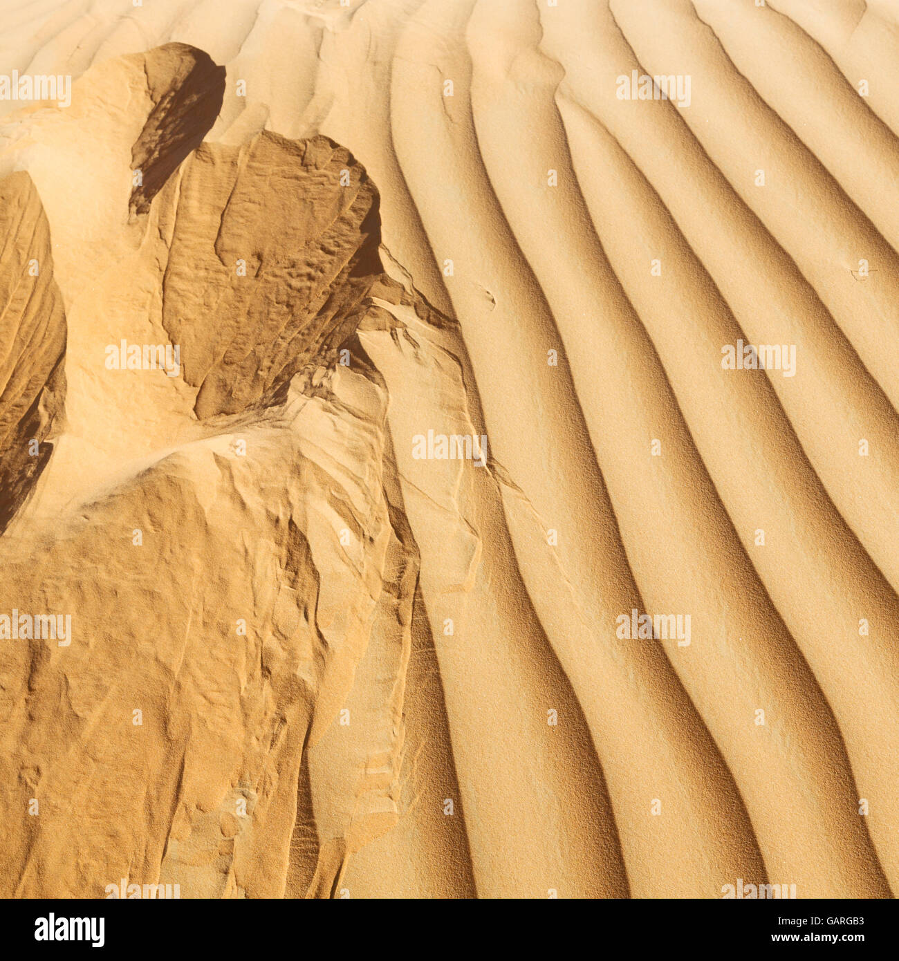 abstract texture line wave in oman the old desert and the empty quarter ...
