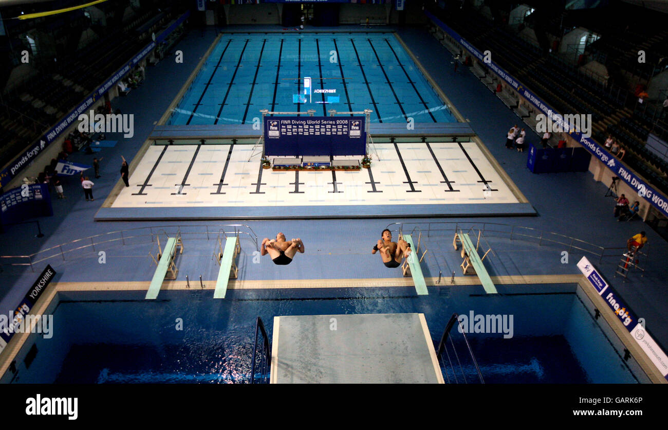 Diving - Fina Diving World Series 2008 - Day One - Ponds Forge Stock ...