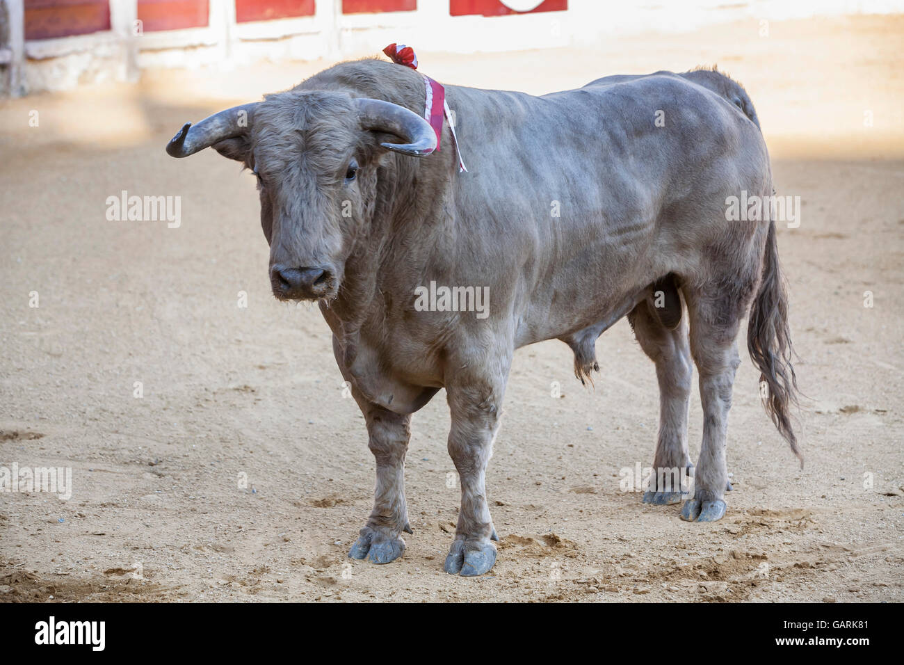 Ubeda, SPAIN - September 29, 2010: Capture of the figure of a brave ...