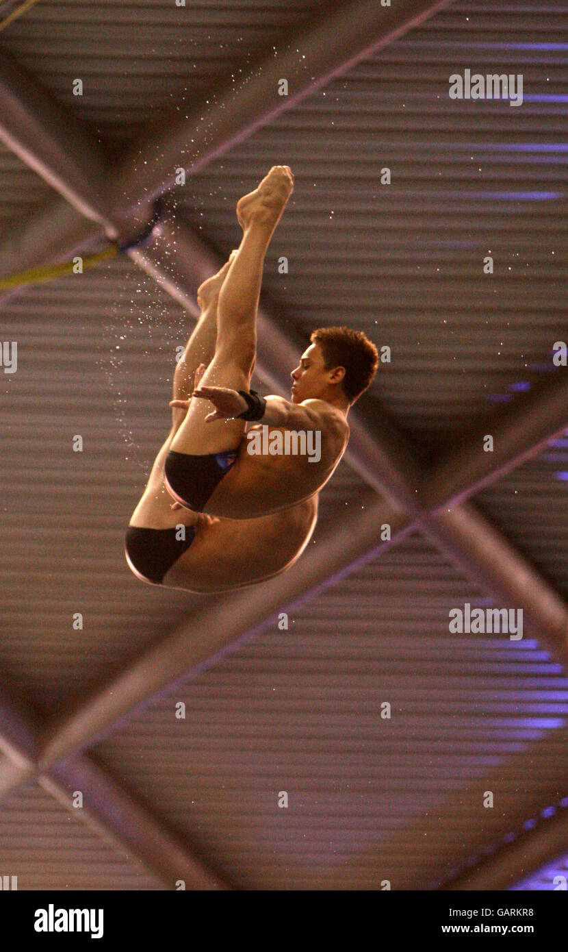 Diving - Fina Diving World Series 2008 - Day One - Ponds Forge Stock ...