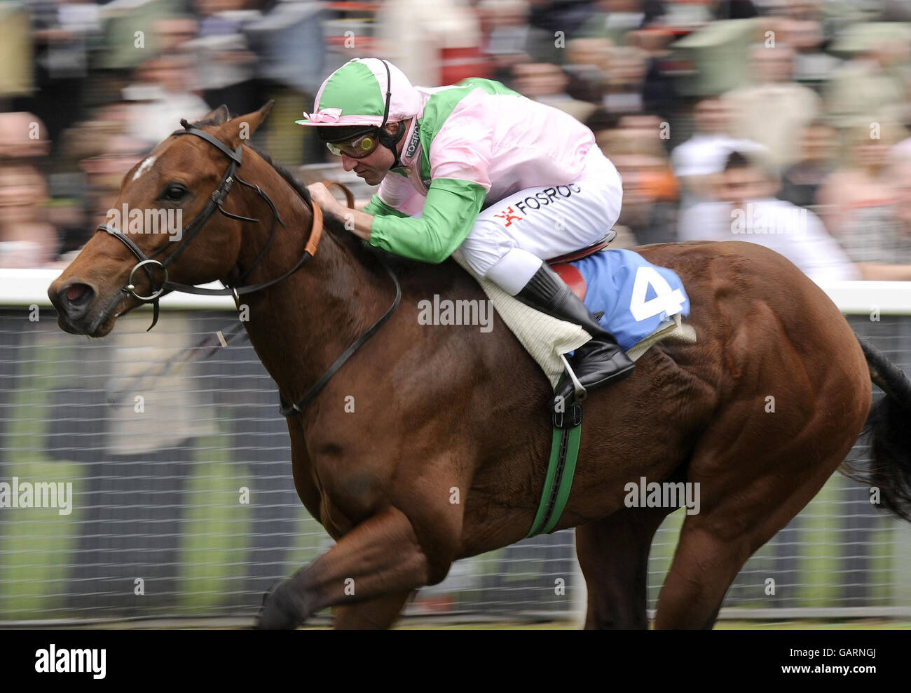 Horse racing full length race winner winning hi-res stock photography ...