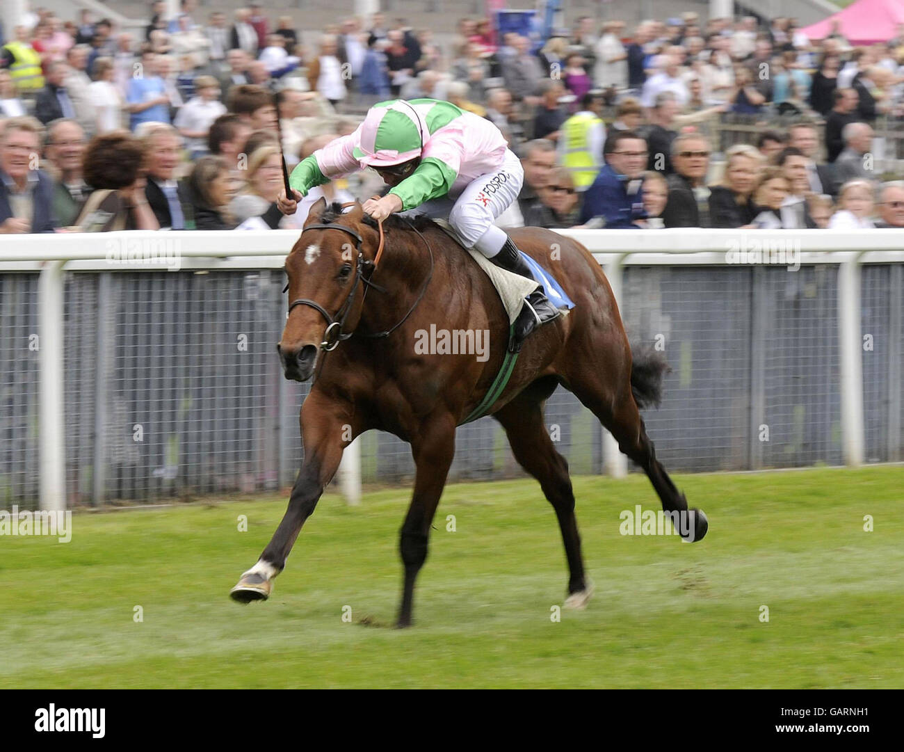 Horse Racing - York Racecourse Stock Photo - Alamy