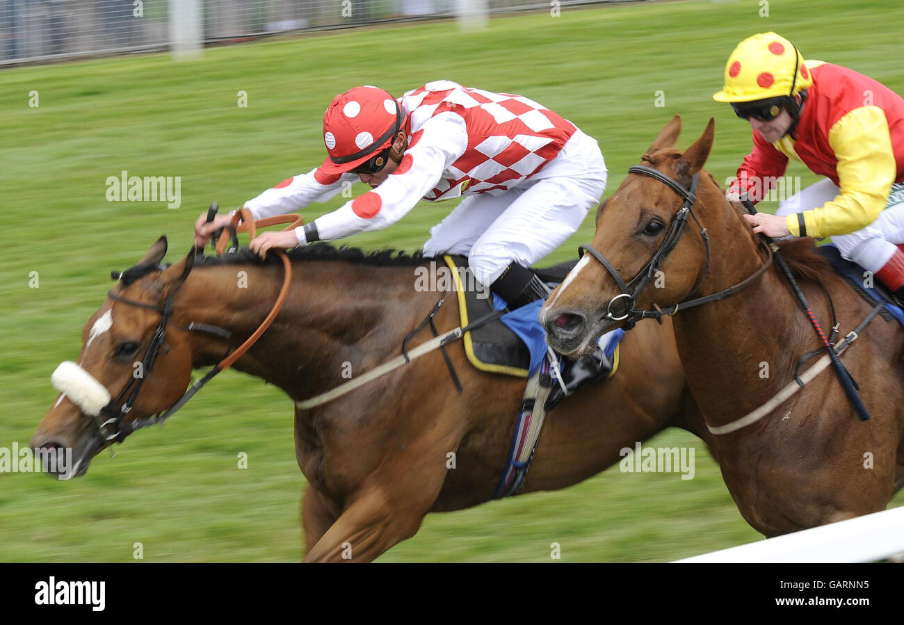 Horse Racing - York Racecourse Stock Photo - Alamy