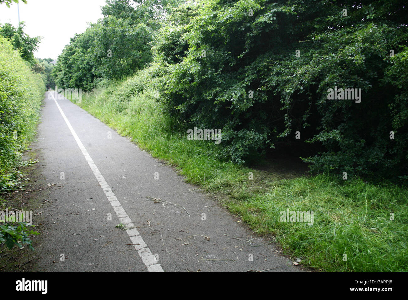 Body found in undergrowth hi-res stock photography and images - Alamy