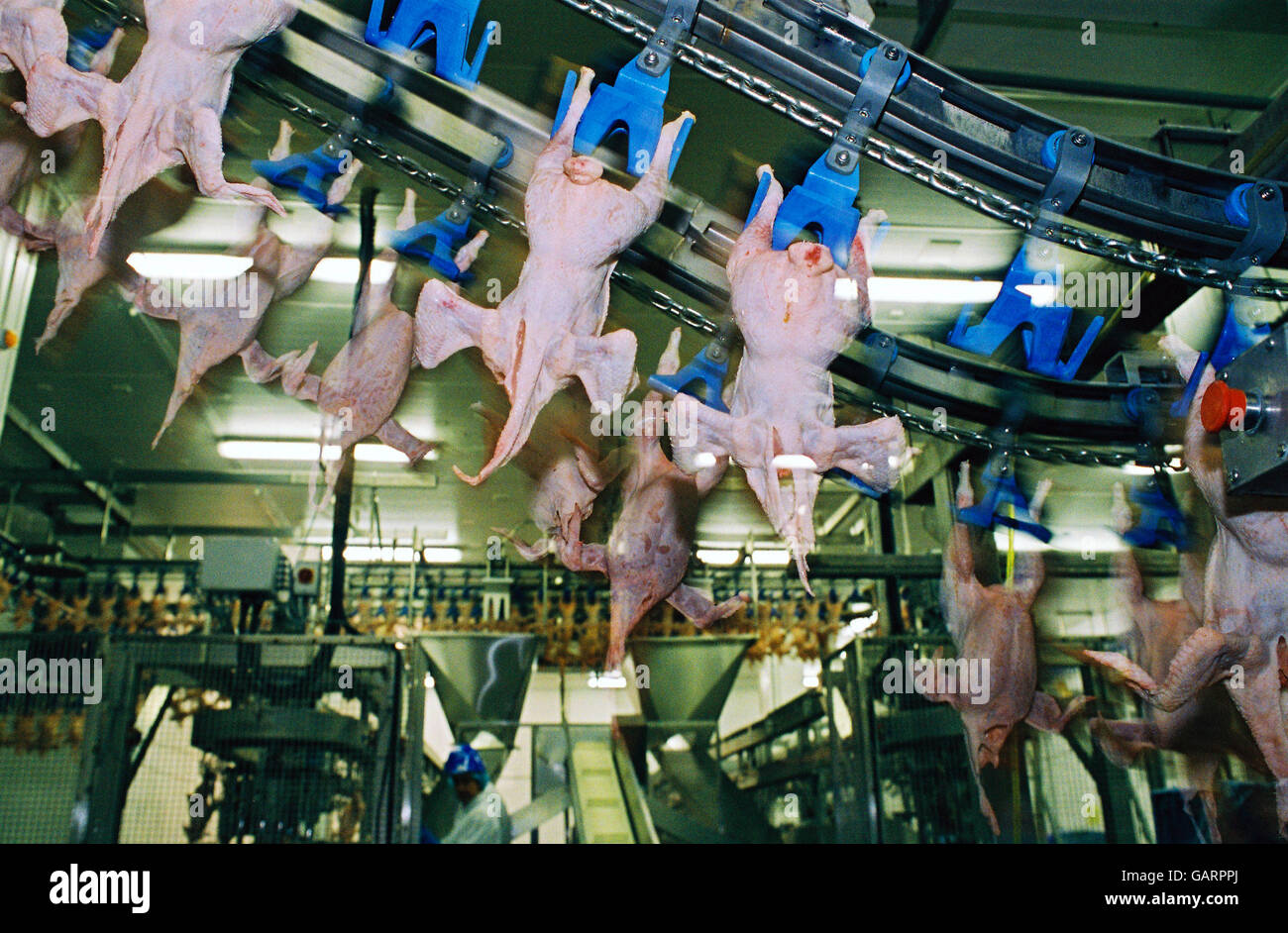 Chicken production line uk hi-res stock photography and images - Alamy