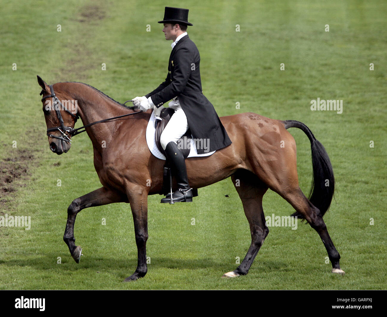 Australia's Paul Tapner on Inonothing during the Dressage competition ...