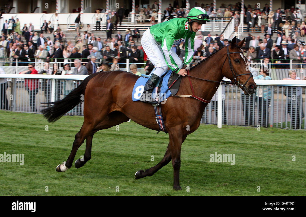 Kayf Aramis, ridden by jockey Marc Halford, going to post prior to The ...