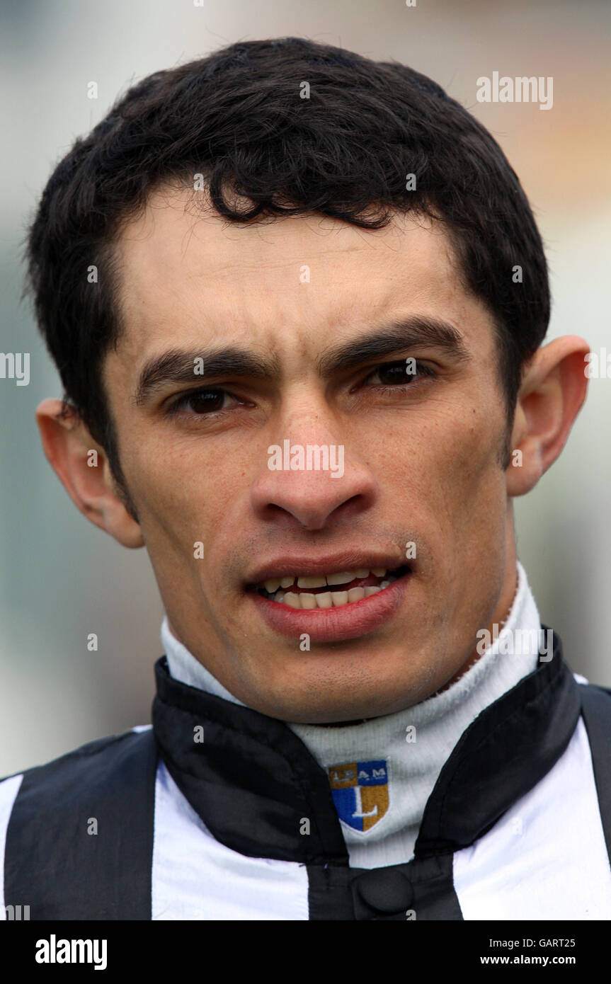 Horse Racing - 2008 May Festival - totesport Dante Day - York ...