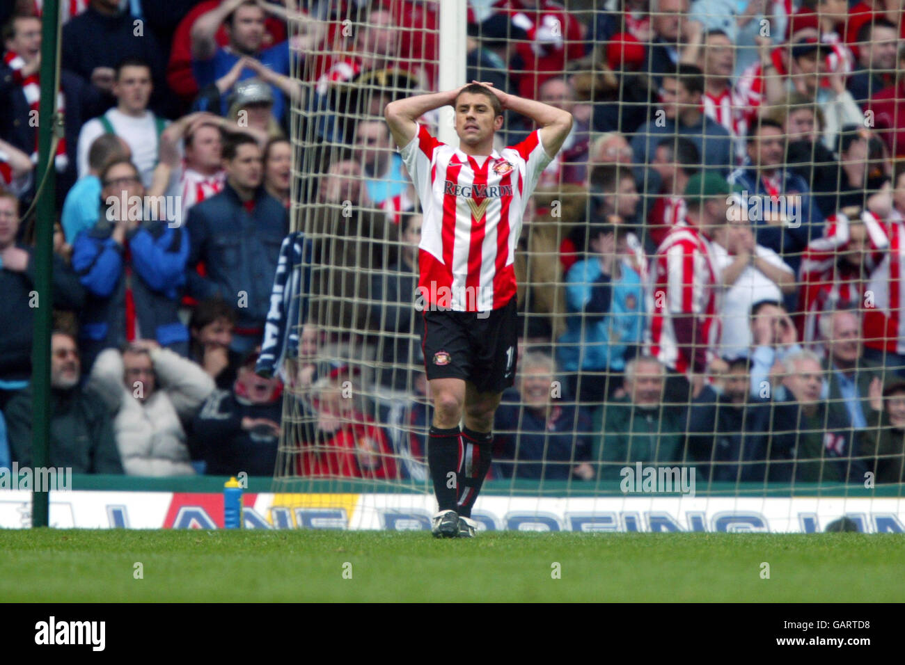 Narrow head hi-res stock photography and images - Alamy