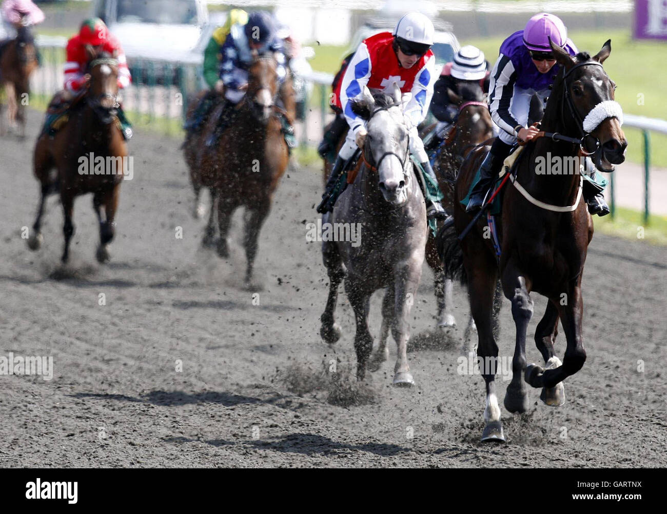 Horse Racing - Lingfield Racecourse Stock Photo - Alamy