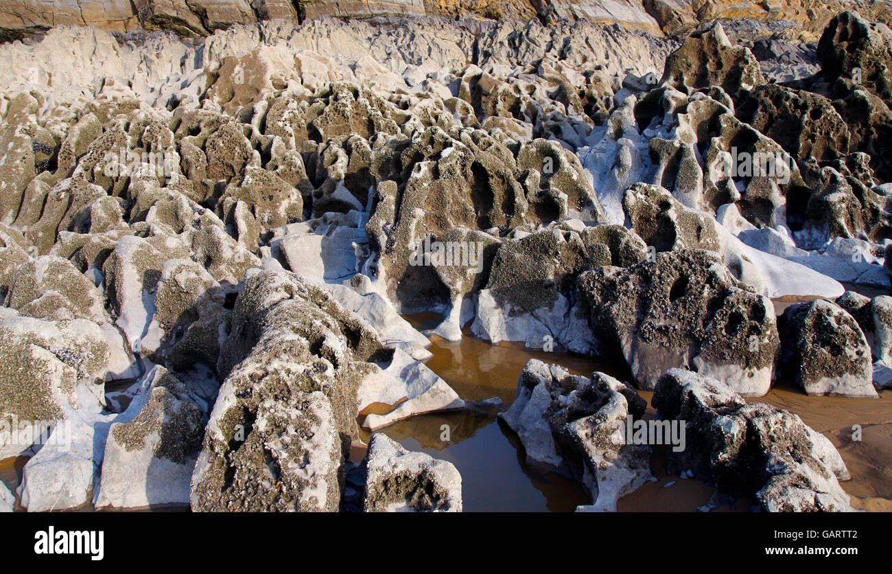 Coastal rocks eroded by the sea Stock Photo - Alamy