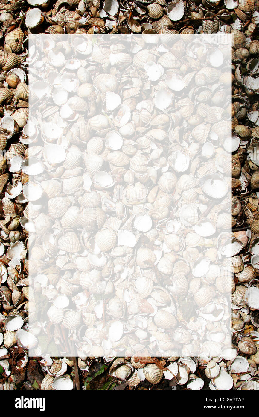 Shell border background with copy space Stock Photo - Alamy