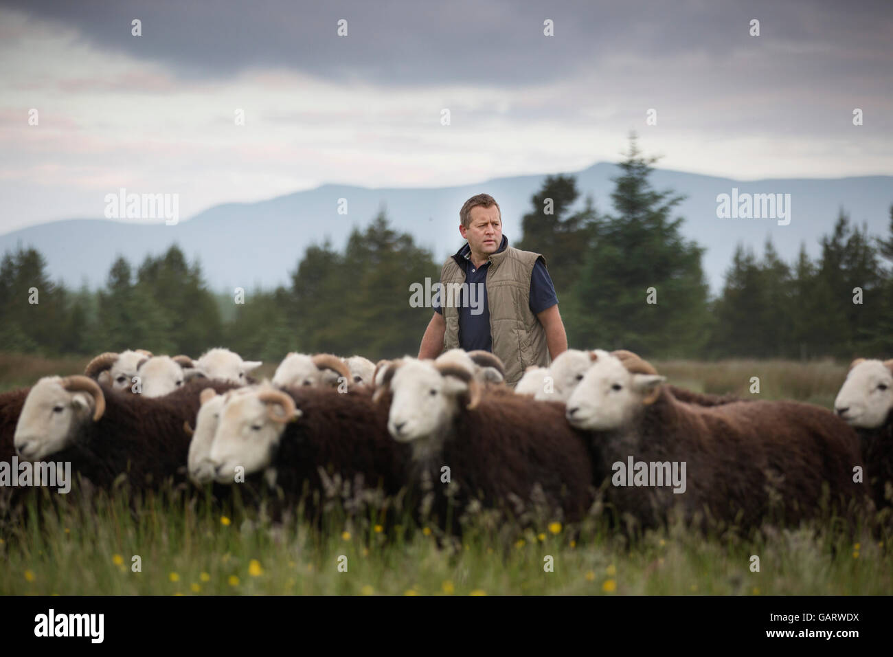 James Rebanks, author of best selling book 'The Shepherd's Life' on the ...