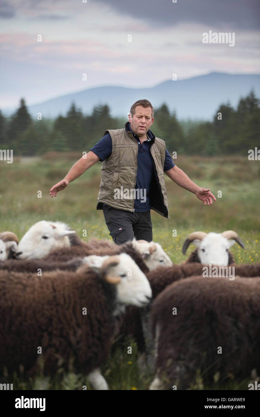 James Rebanks, author of best selling book 'The Shepherd's Life' on the ...