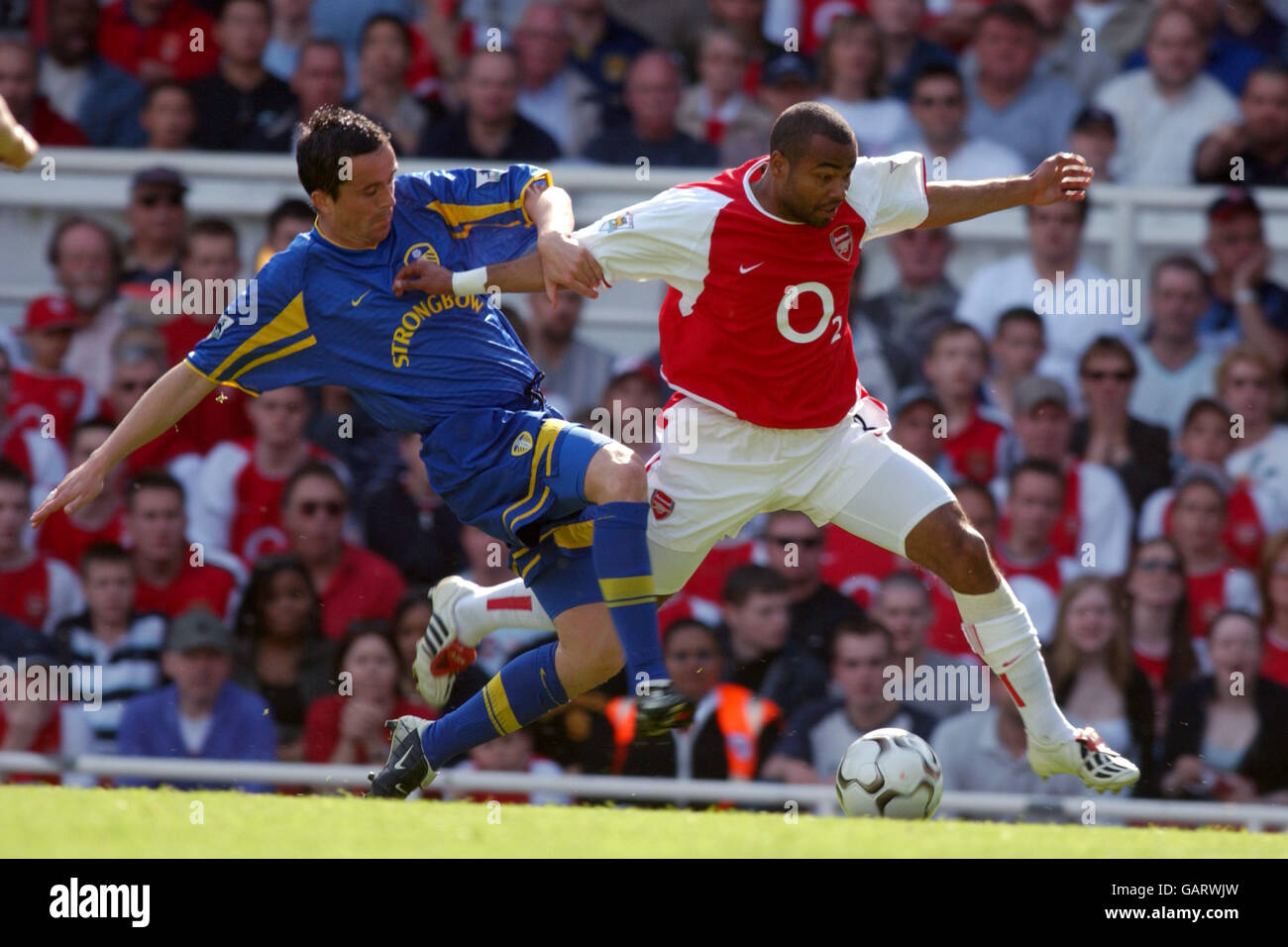 Gary cole hi-res stock photography and images - Alamy