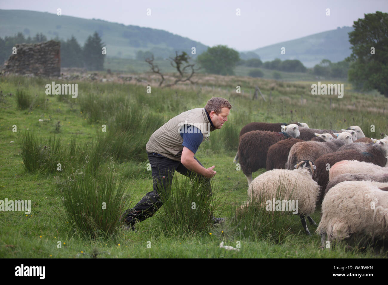 James rebanks hi-res stock photography and images - Alamy