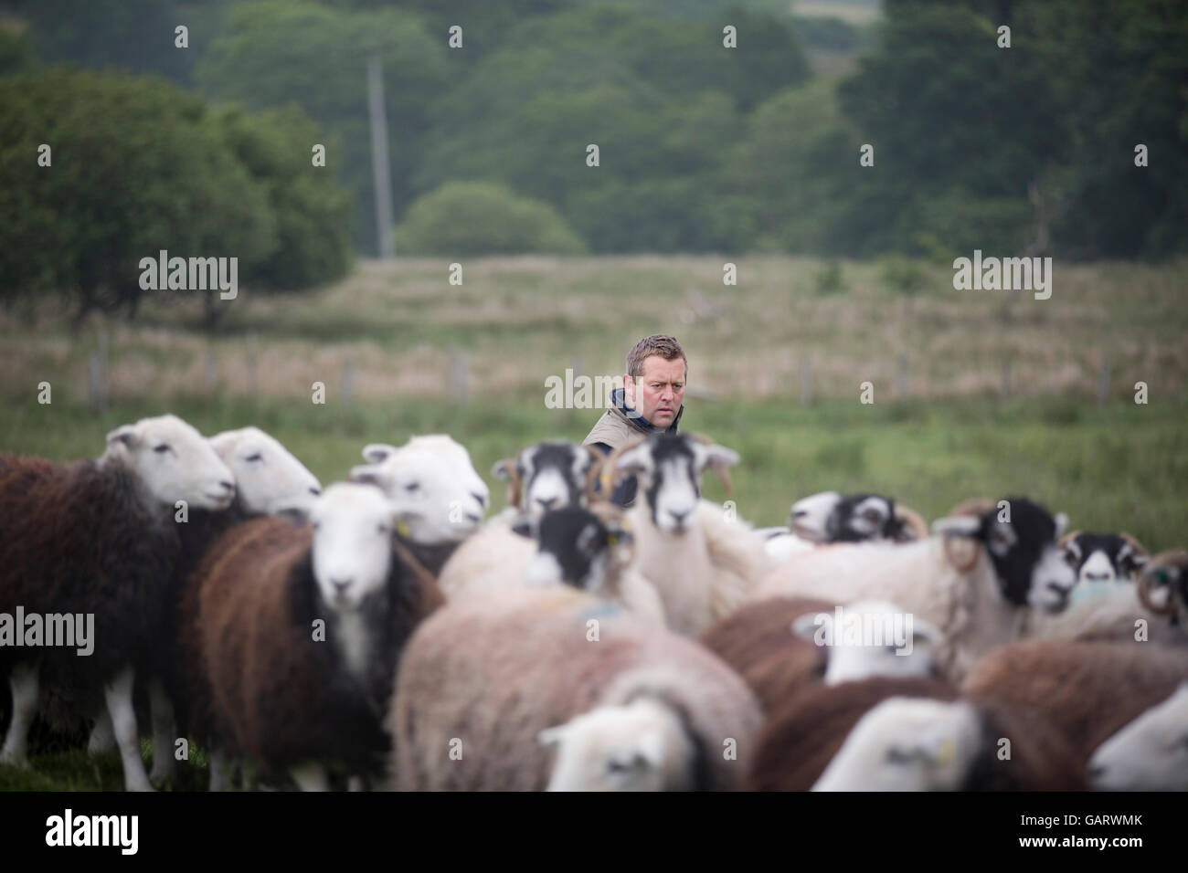 James Rebanks, author of best selling book 'The Shepherd's Life' on the ...