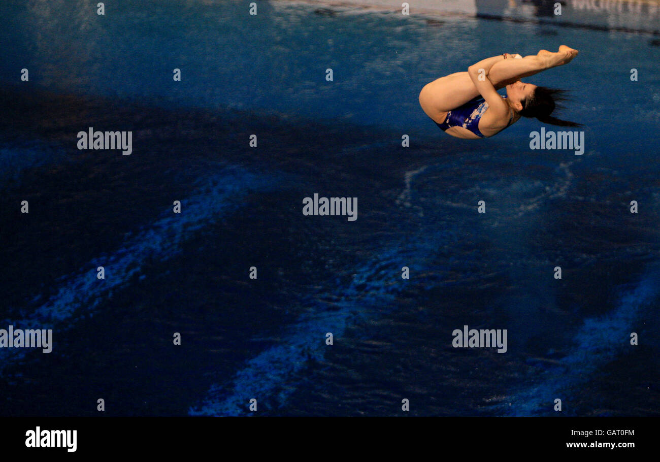 Diving - Fina Diving World Series 2008 - Day Two - Ponds Forge Stock ...