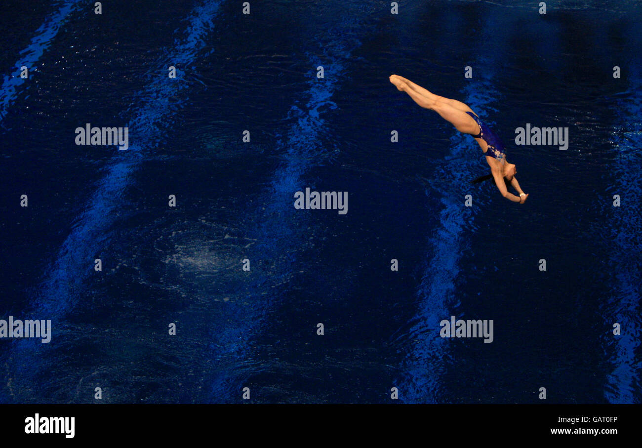 Diving - Fina Diving World Series 2008 - Day Two - Ponds Forge Stock ...