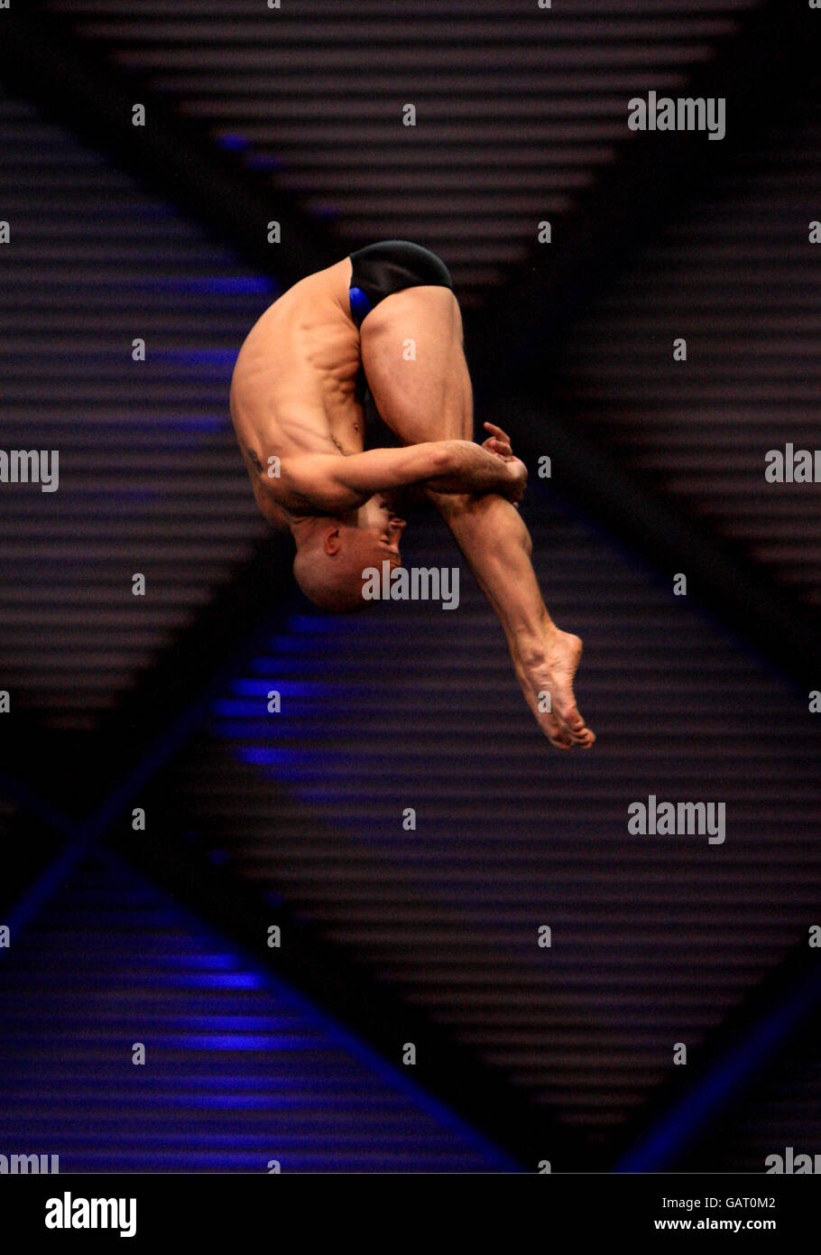 Diving - Fina Diving World Series 2008 - Day Two - Ponds Forge Stock ...