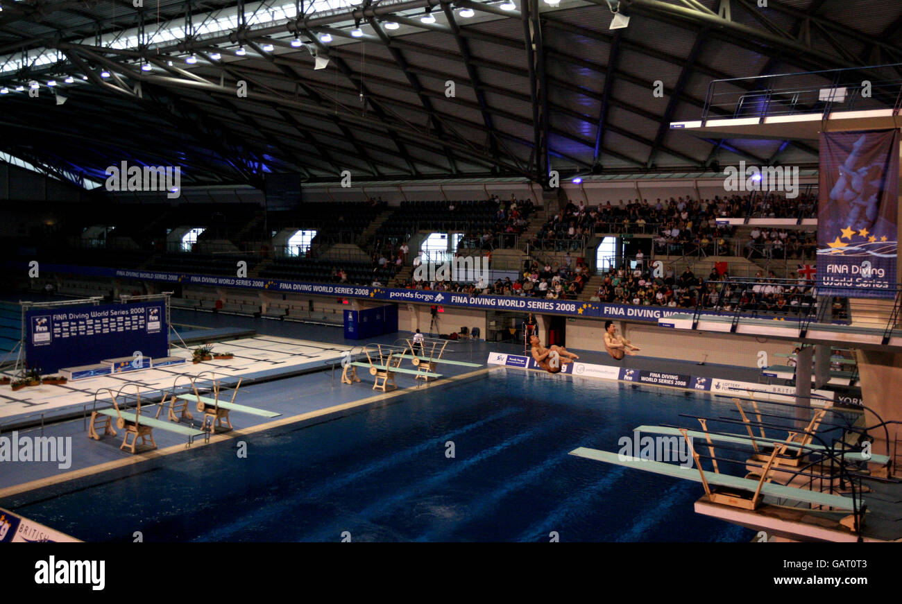 Diving - Fina Diving World Series 2008 - Day Two - Ponds Forge Stock ...