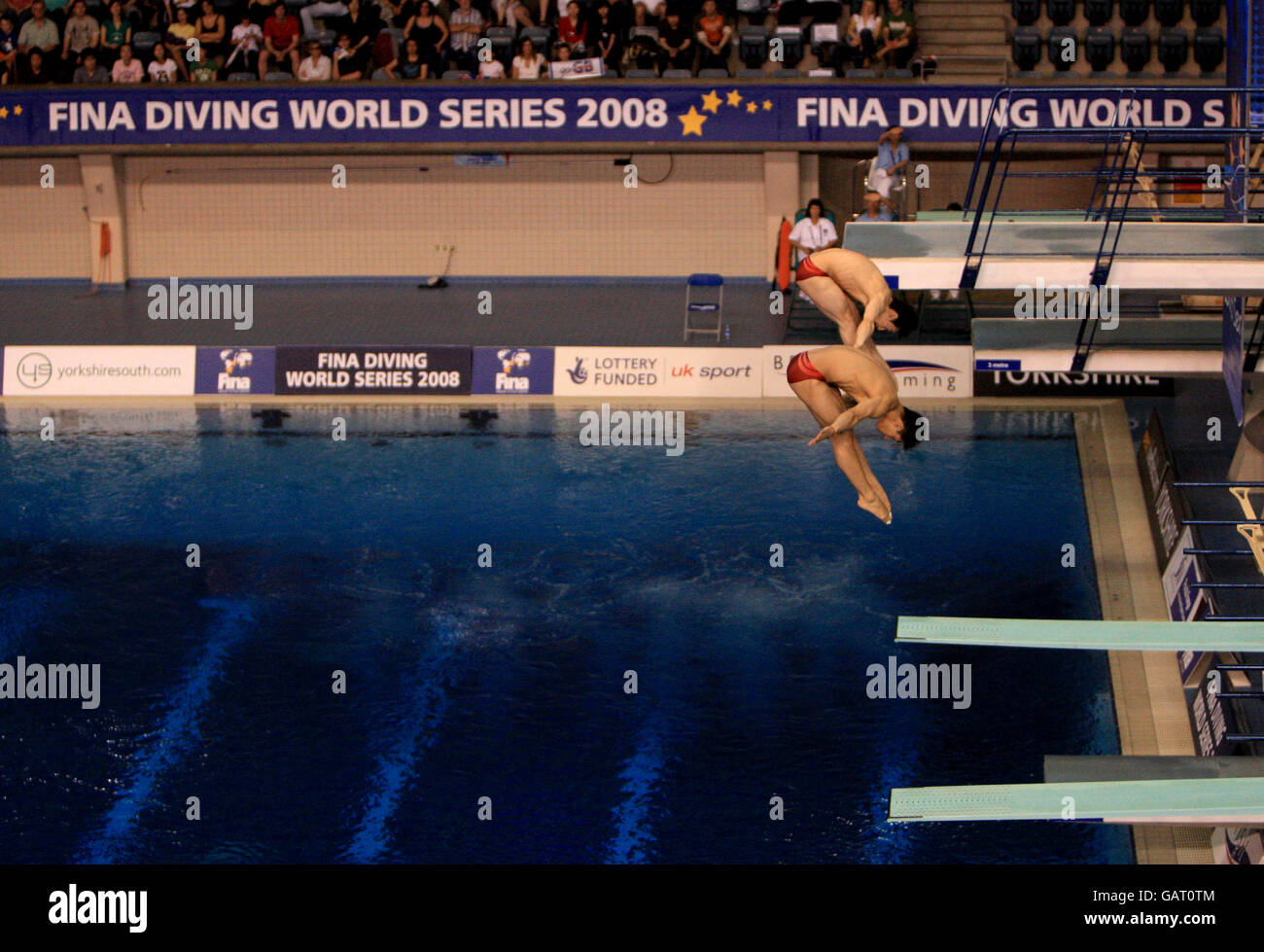 Diving - Fina Diving World Series 2008 - Day Two - Ponds Forge Stock ...