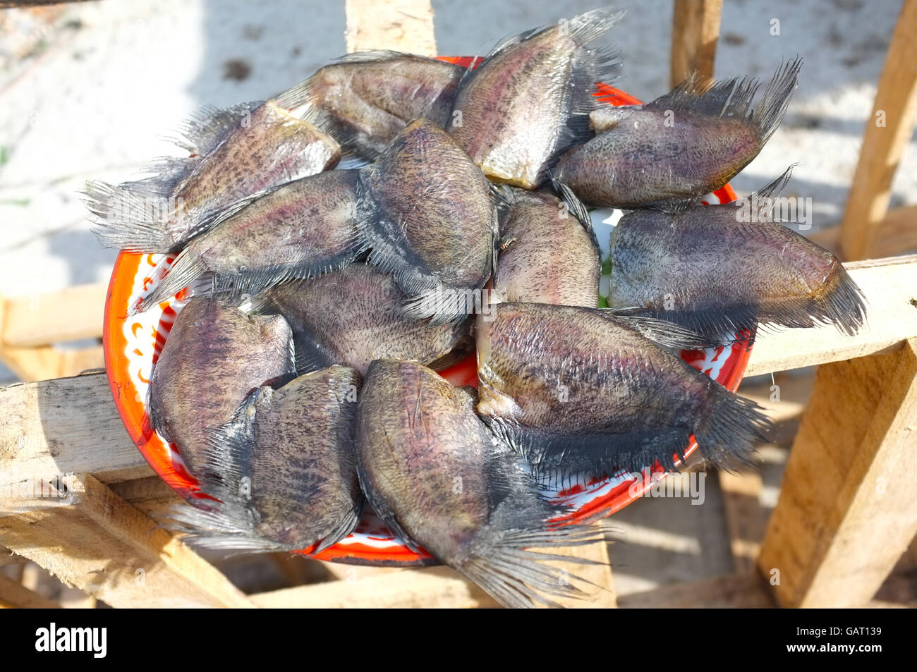 Dried Snake Skin Gourami fish on tray with sun light Stock Photo - Alamy