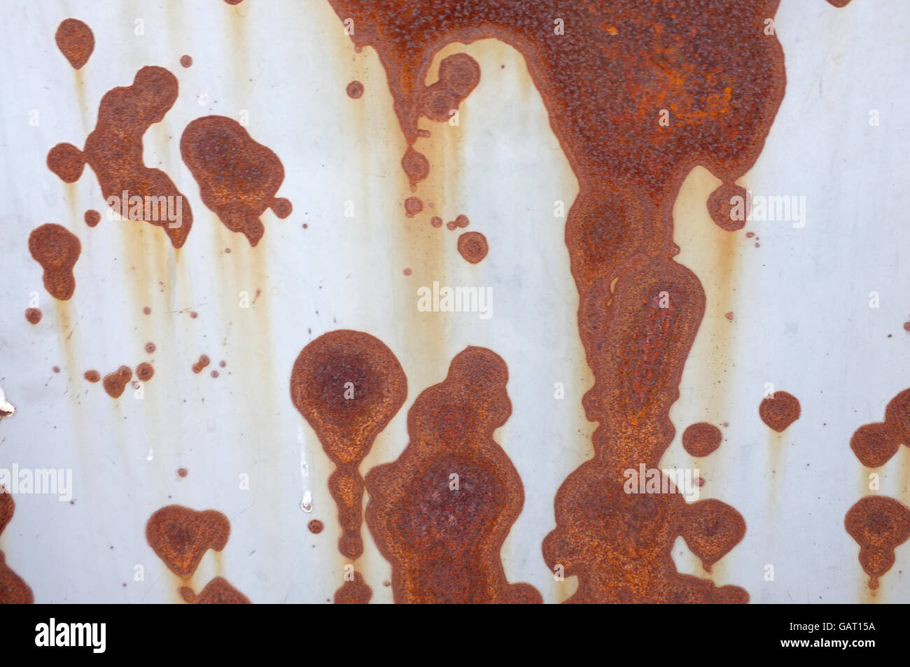 Corroded white metal background, rusted white painted metal wall Stock ...