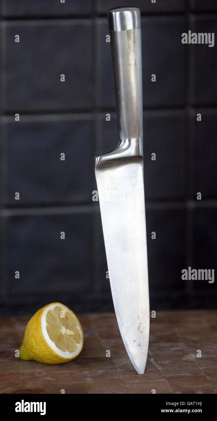 A general view of a kitchen knife, which is the most common knife used ...