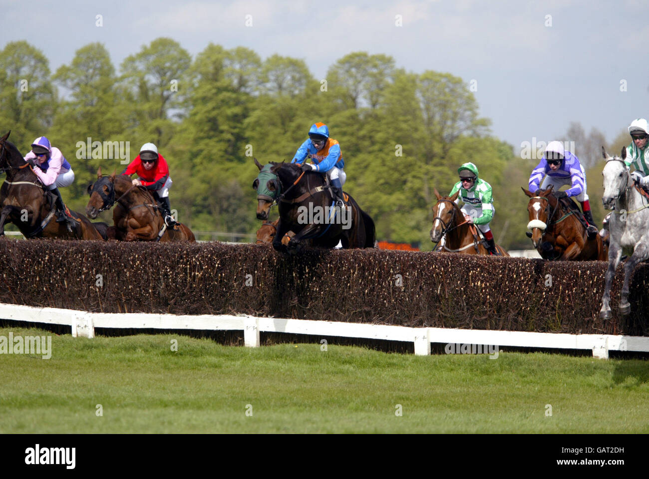 The sandown gold cup hi-res stock photography and images - Alamy