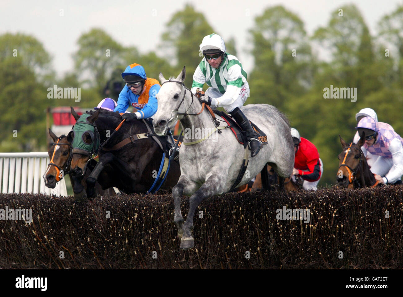 Gold field hi-res stock photography and images - Alamy