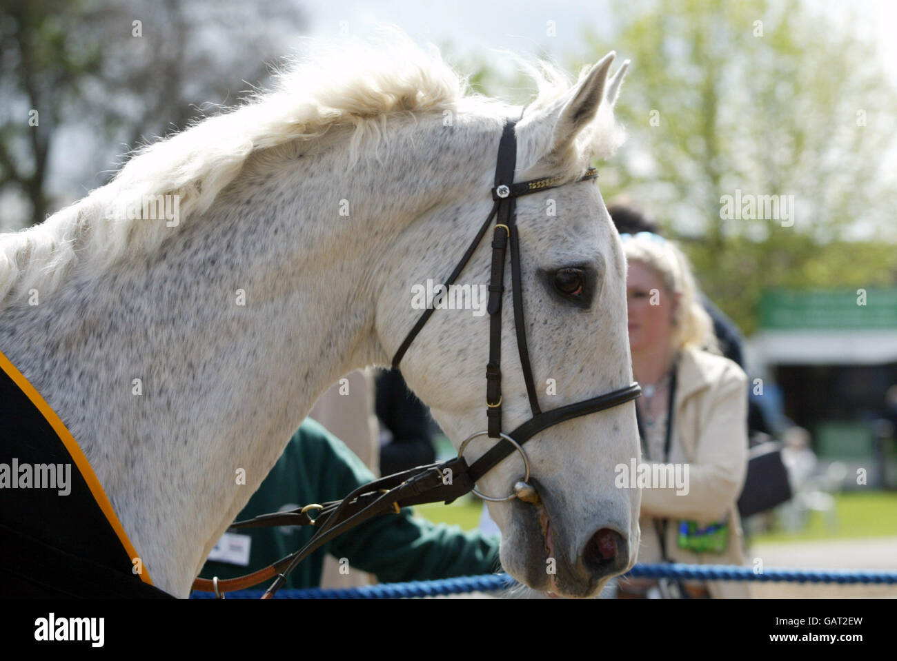 Sport horse racing horse racing horse racing hi-res stock photography ...